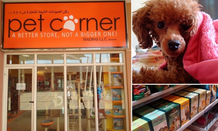 Pet Corner Dubai – Your preferred Pet Shop in Dubai